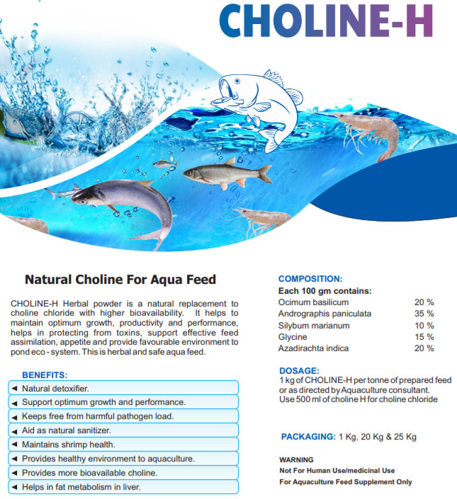 Animal feed supplements manufacturer - veterinary feed supplements ...